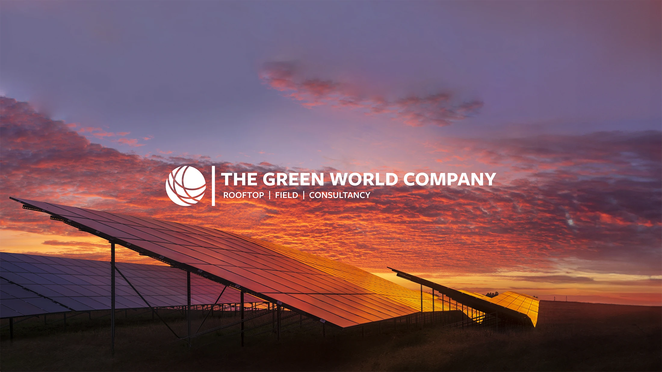 The Green World Company